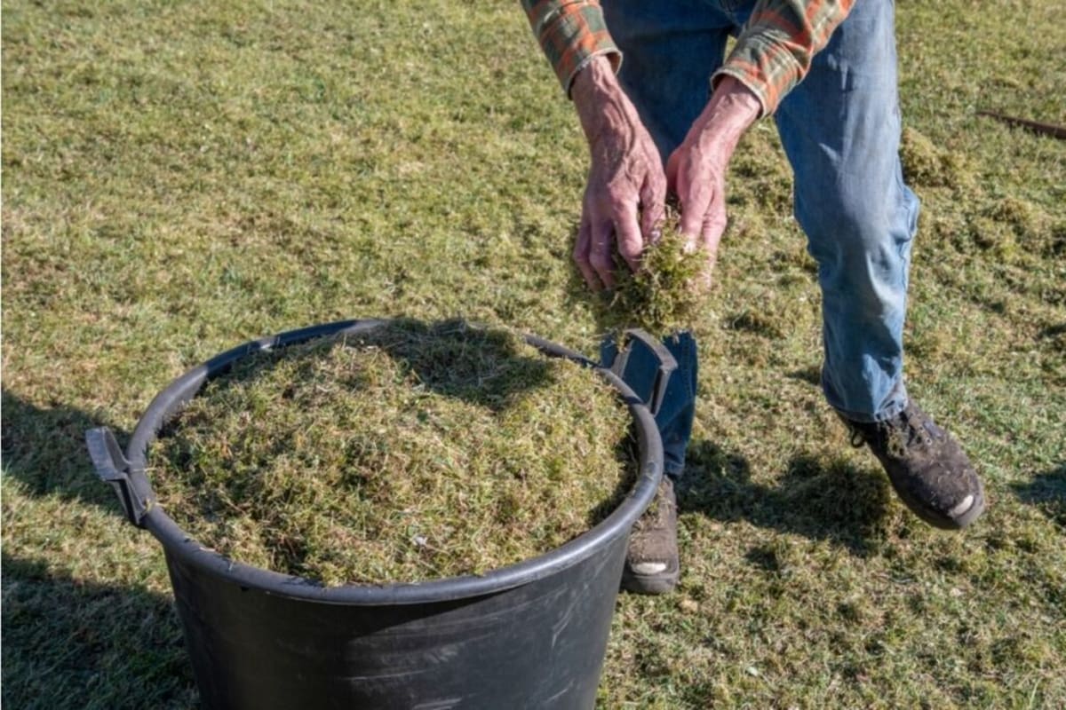 Homeowner Says His Neighbor Keeps Tossing Grass Clippings Into His ...